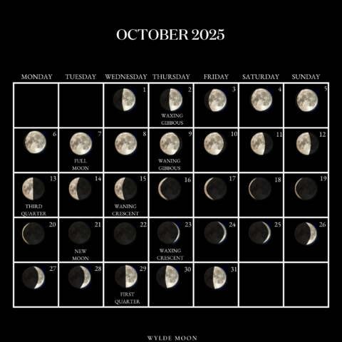 2025 Moon Calendar - every phase and stage of the moon
