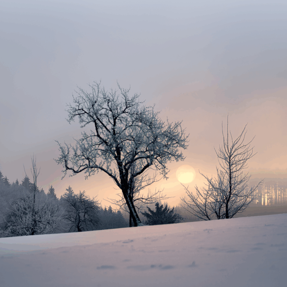 Honouring the Winter Solstice: Rituals for Renewal, Light & Inner Stillness