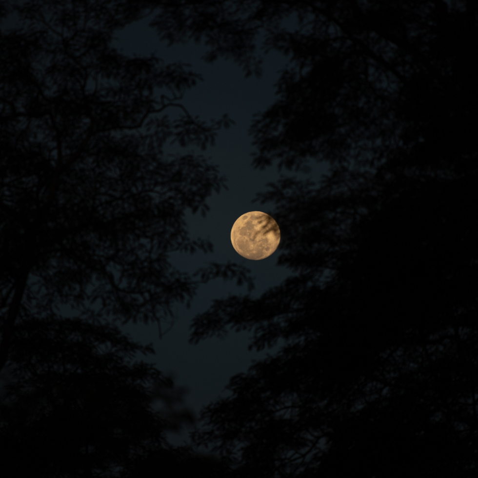 Full Moon Names & Meanings: Your Complete Month-by-Month Guide